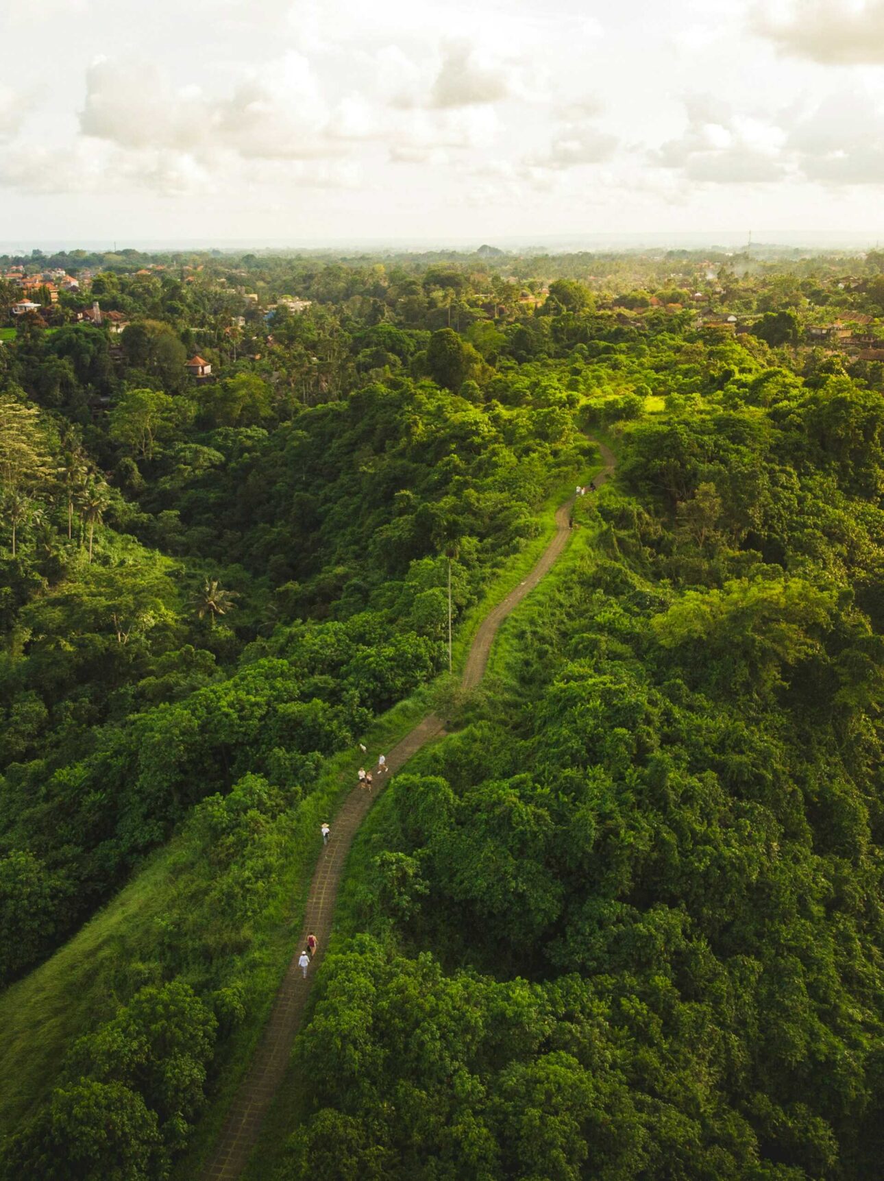 Top Things to Do in Bali Indonesia (Bali travel guide)