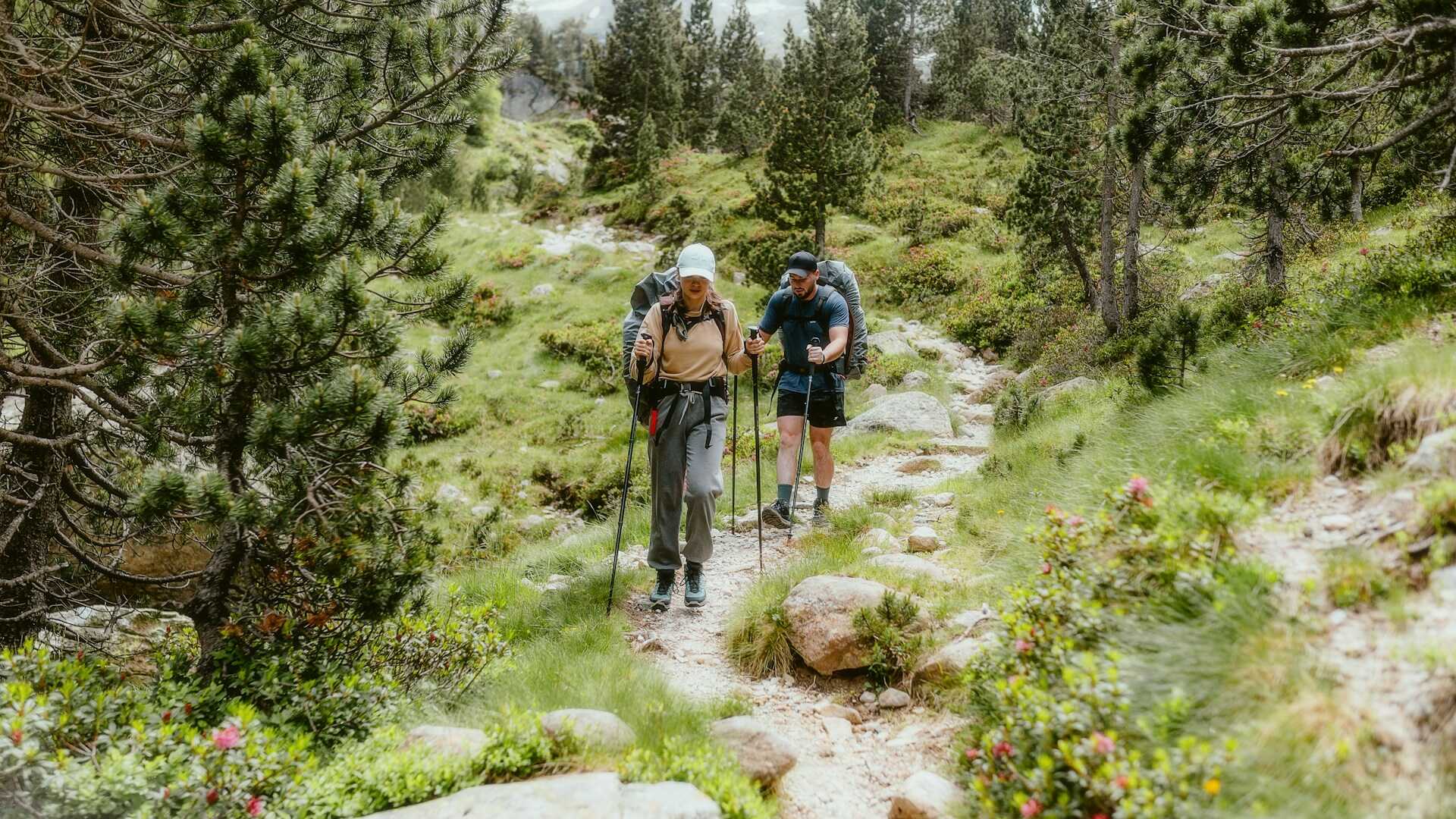 Backpacking Trips for Beginners: Essential Tips, Gear, and Survival Skills