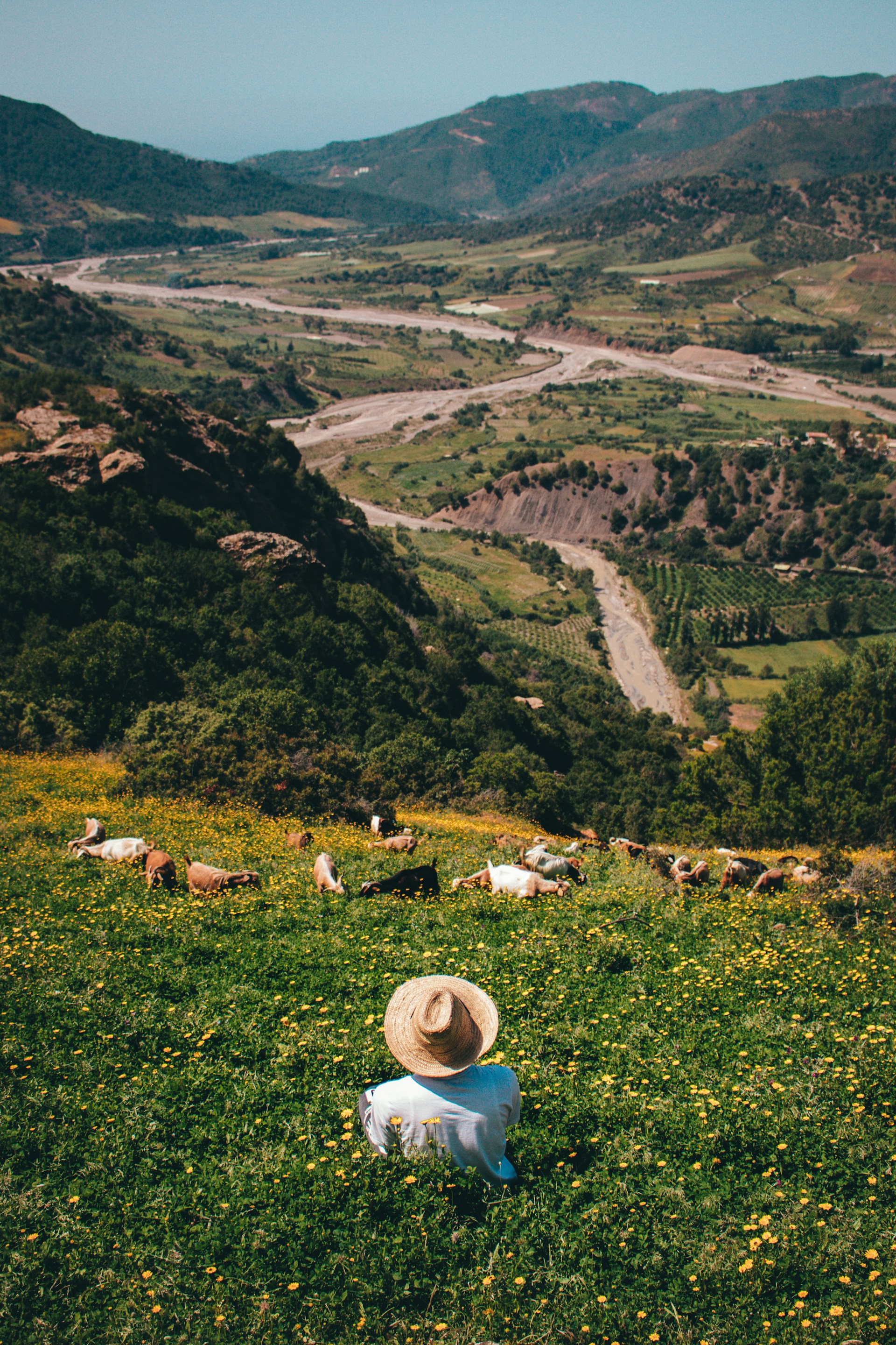 Backpacking Trips for Beginners: Essential Tips, Gear, and Survival Skills