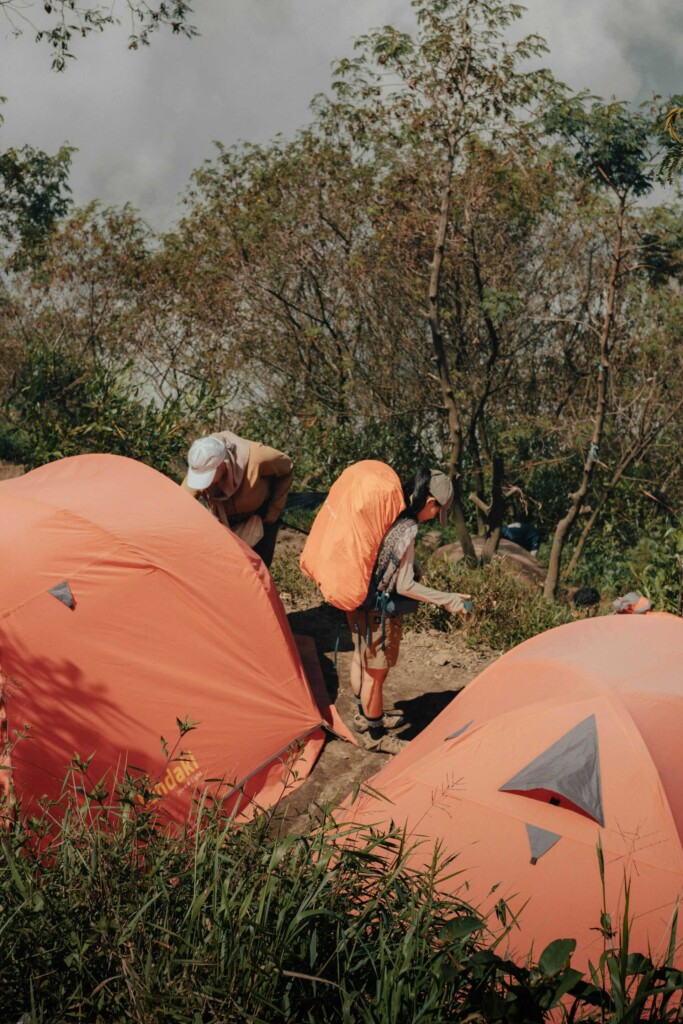 Backpacking Trips for Beginners: Essential Tips, Gear, and Survival Skills