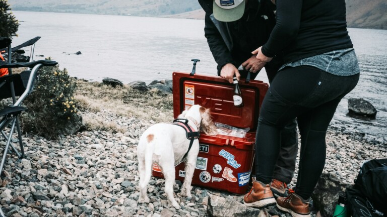 How to Pack a Cooler for Camping: Keep Food Cold Longer