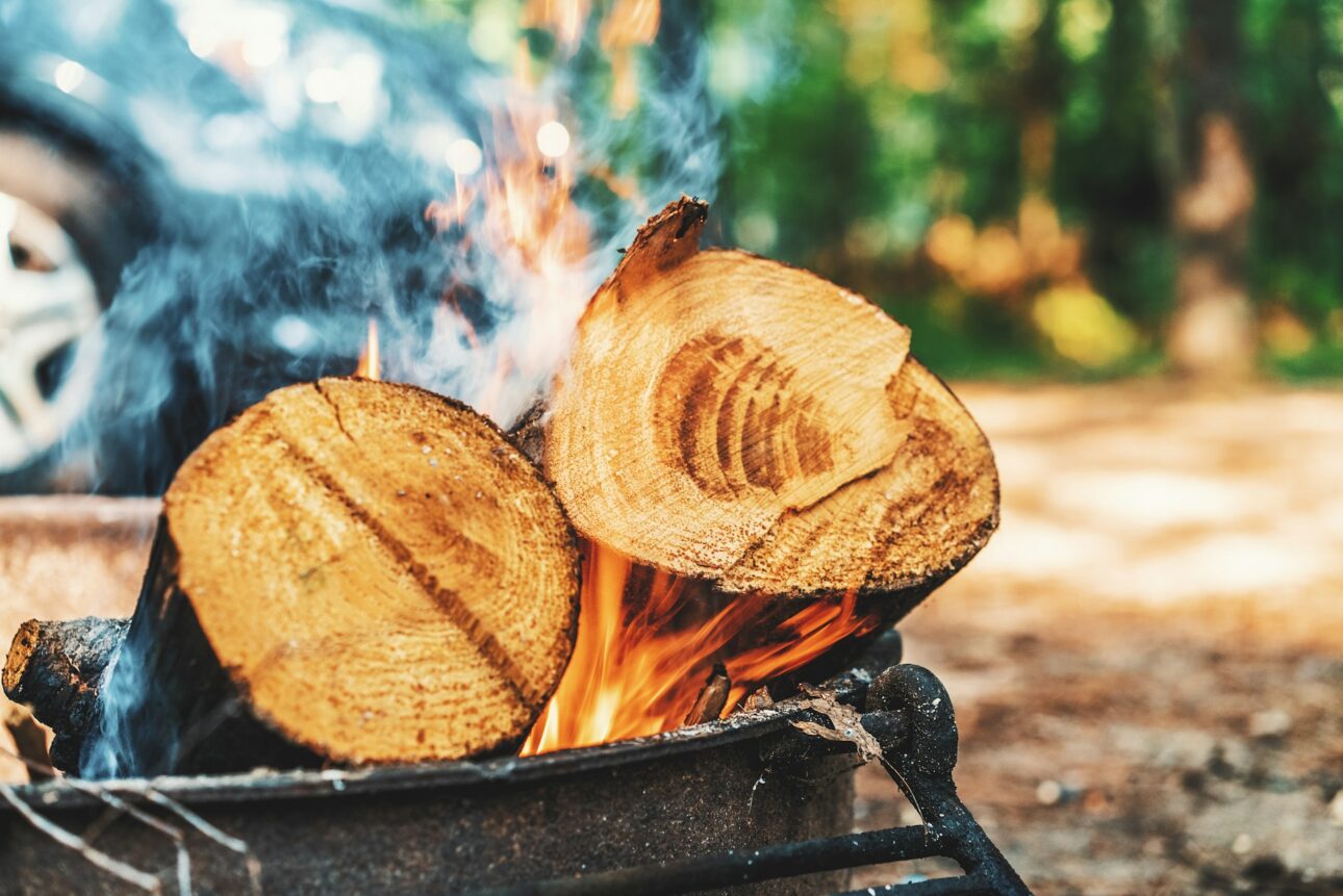 How to Build a Campfire Step by Step – Best Way to Build a Campfire in ...