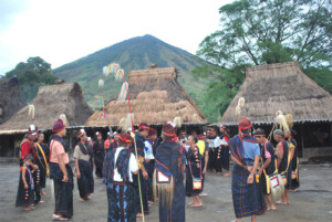 Top 10 Things to Do in Komodo Island (Beyond Komodo Dragons!)