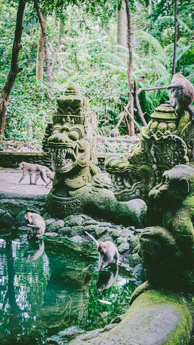 20 Best Things To Do in Ubud Bali