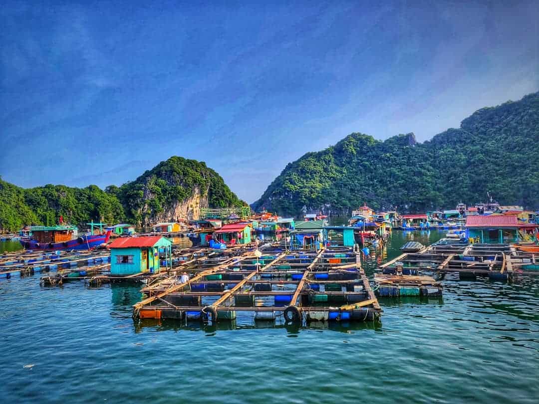 15 Unmissable Things to Do in Ha Long Bay for First-Time Visitors