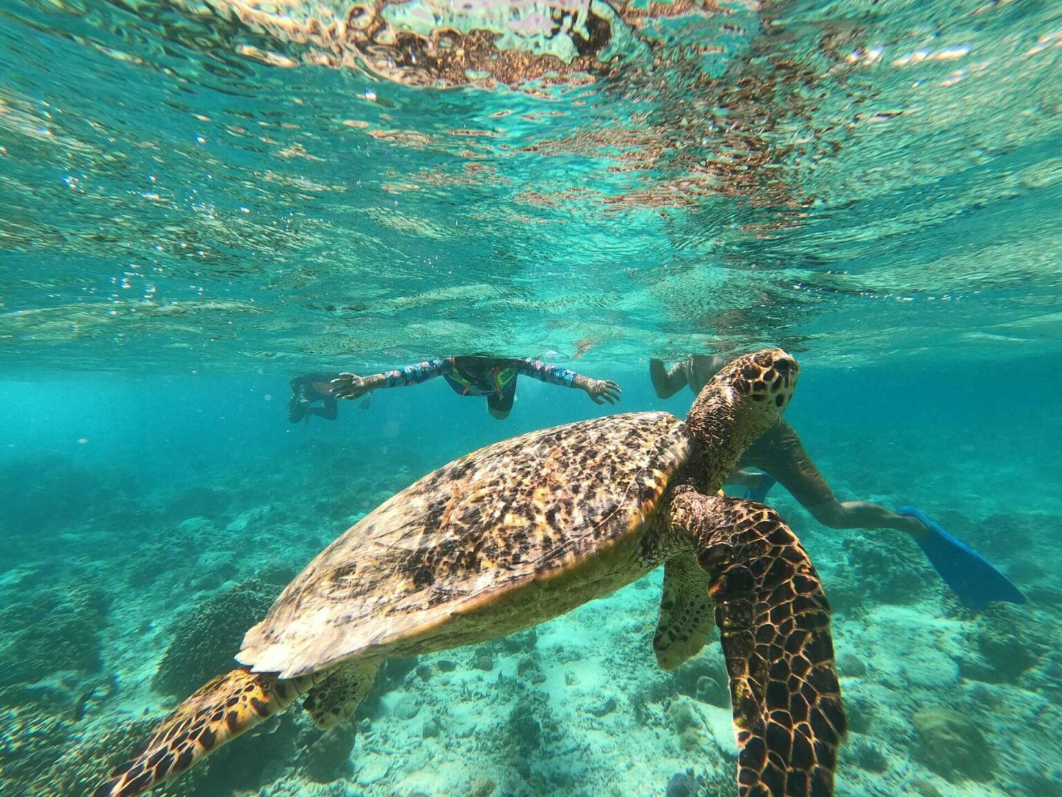 10 Fun Things to Do in Cebu Philippines (Beyond the Usual Spots)