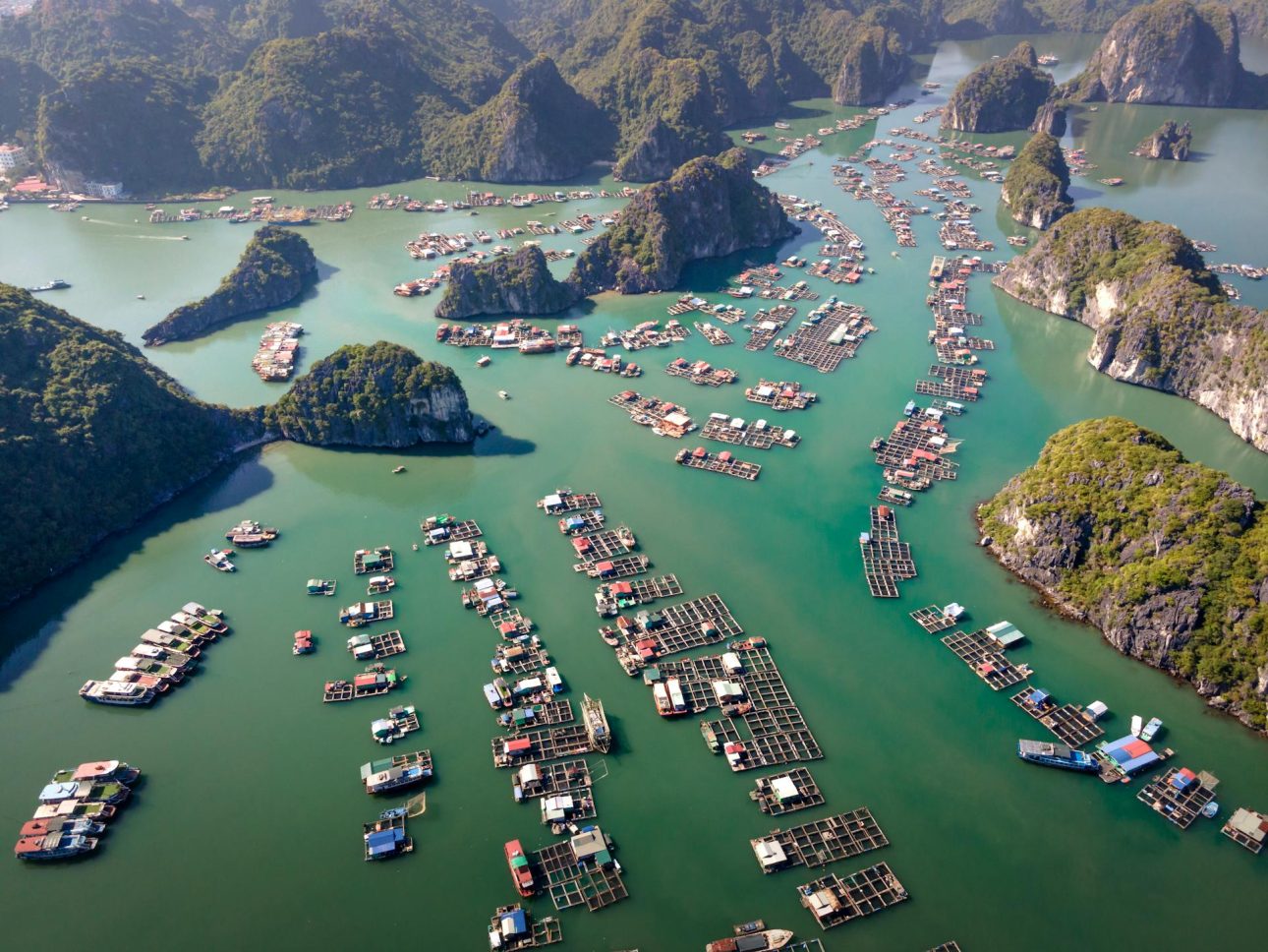 15 Unmissable Things to Do in Ha Long Bay for First-Time Visitors